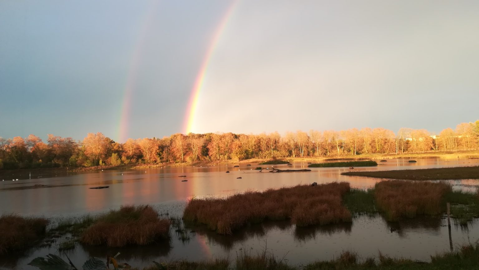 Animation : Visite de la Saligue aux Oiseaux - Fédération ...
